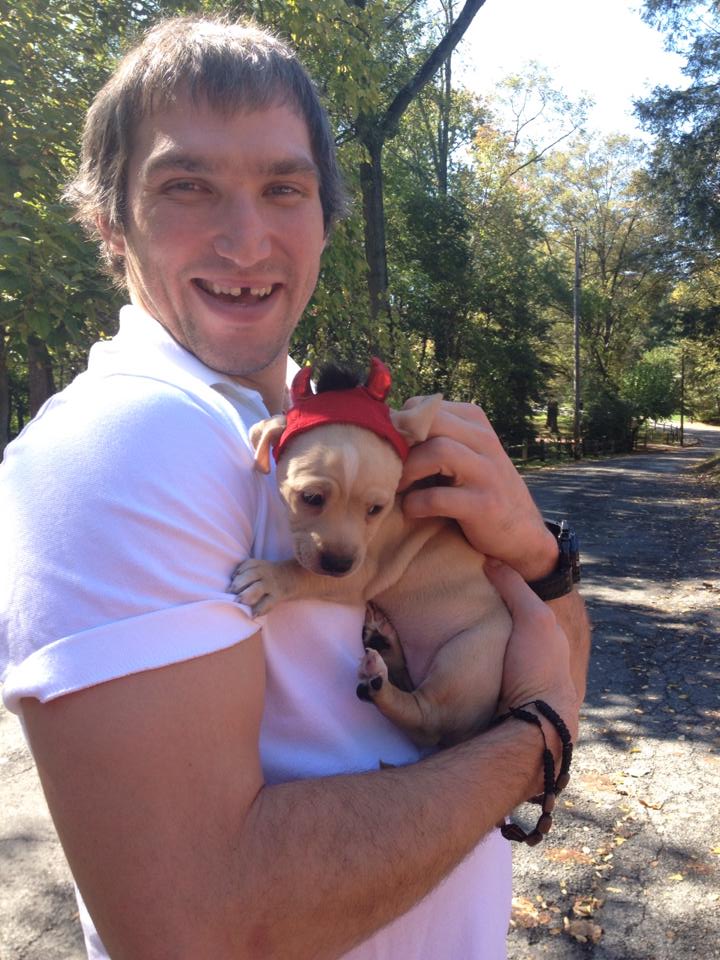 Caps Hold Photoshoot For New Dog Calendar, Alex Ovechkin Holds Adorable ...