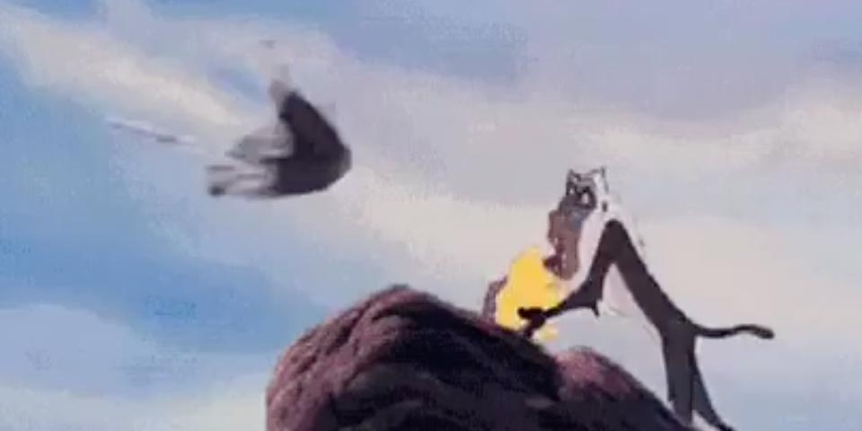 Sliding Braden Holtby has become a meme