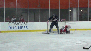 Chris Cooley’s Faceplant (GIF)