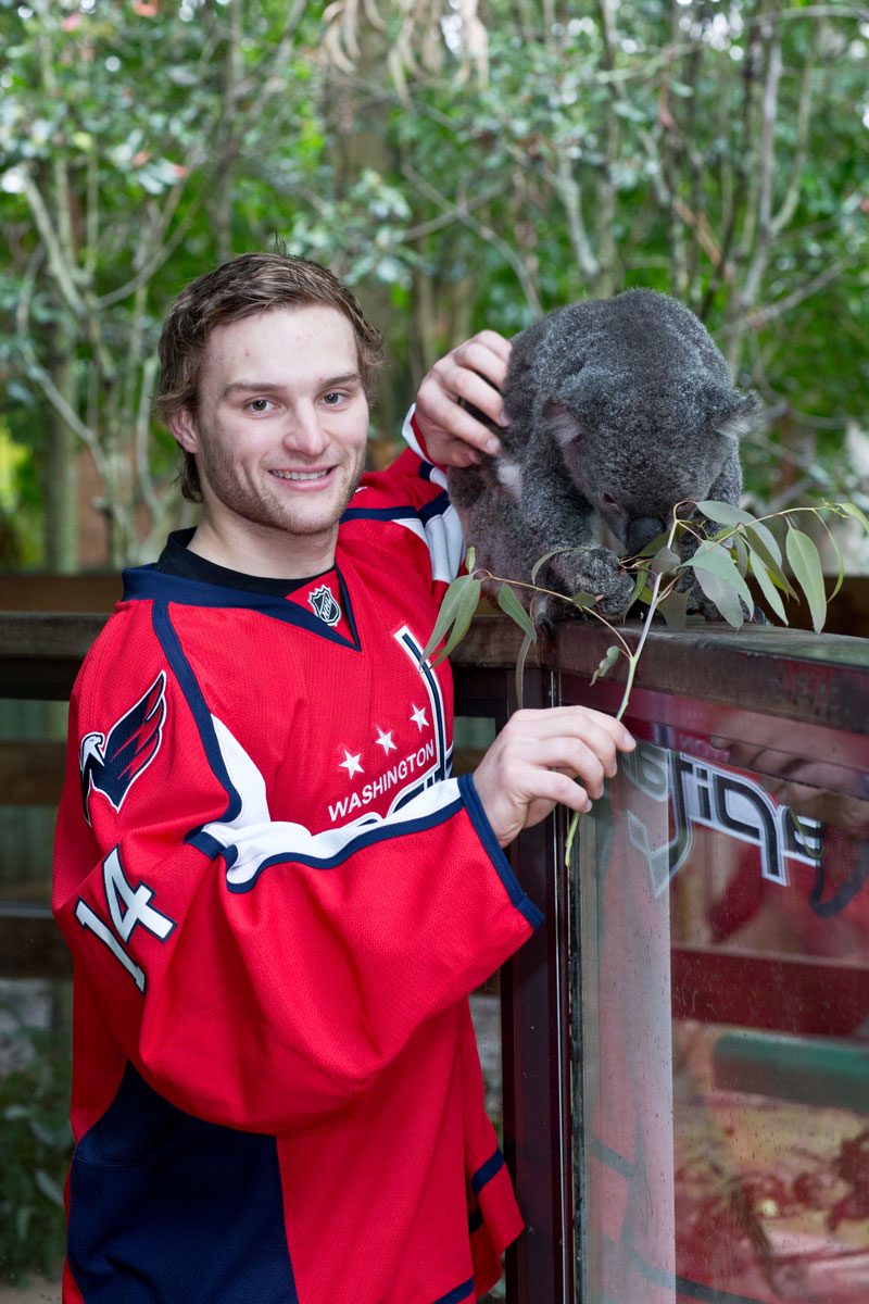 Kangaroos, Koala Bears, and Nathan Walker: The Most Australian Hockey ...