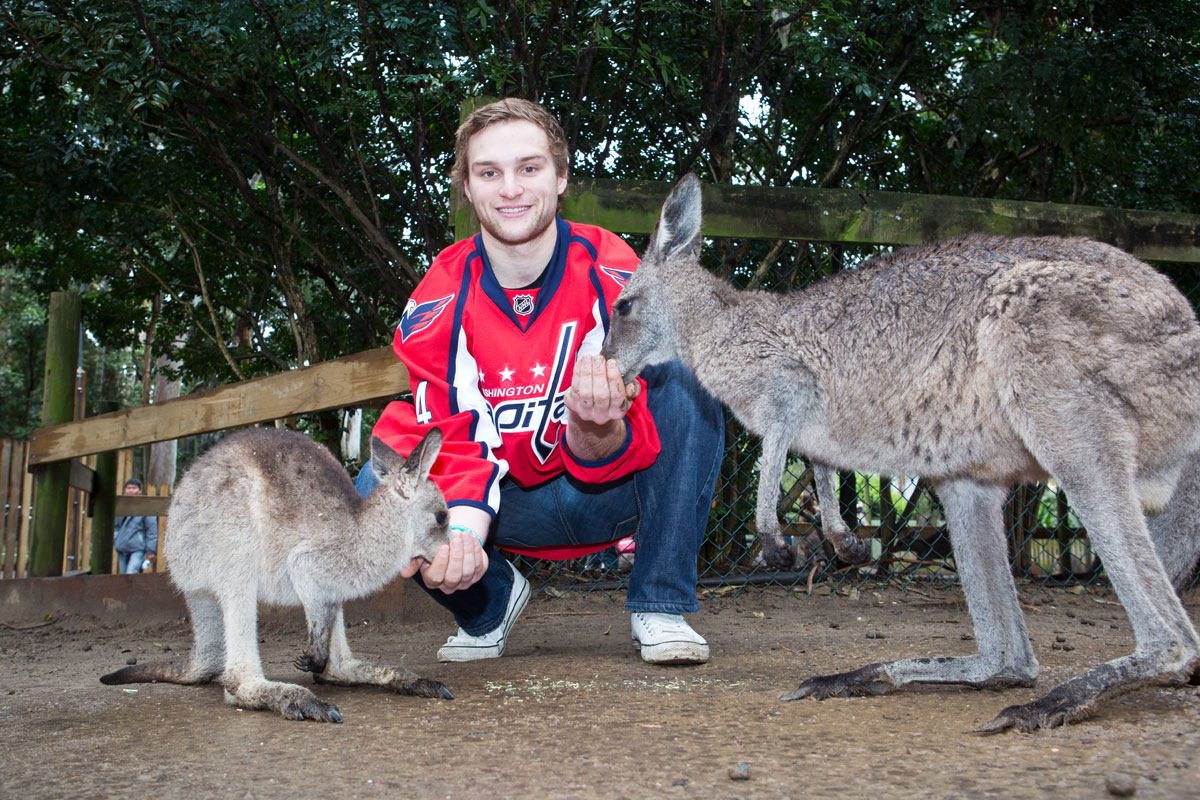Kangaroos, Koala Bears, and Nathan Walker: The Most Australian Hockey ...