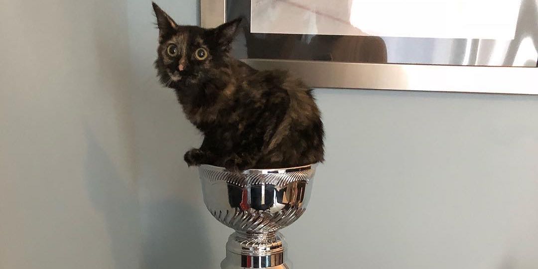 The NHL Shop is selling replica, two-foot tall Stanley Cups