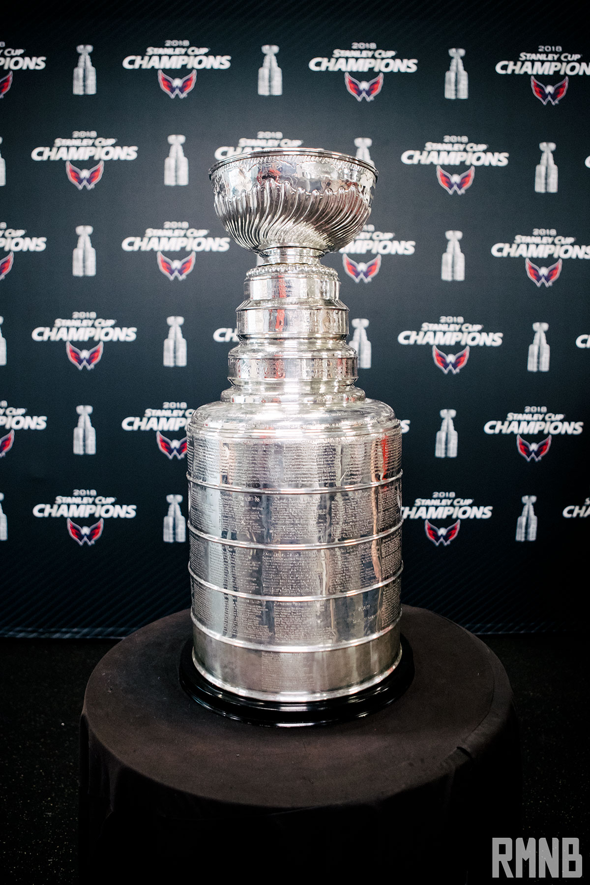 77 photos from the Caps Dog Calendar shoot featuring puppies, the ...