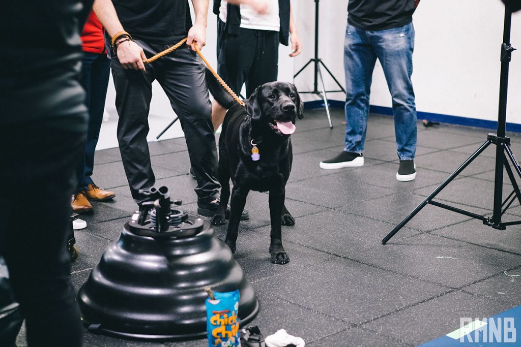 77 photos from the Caps Dog Calendar shoot featuring puppies, the ...