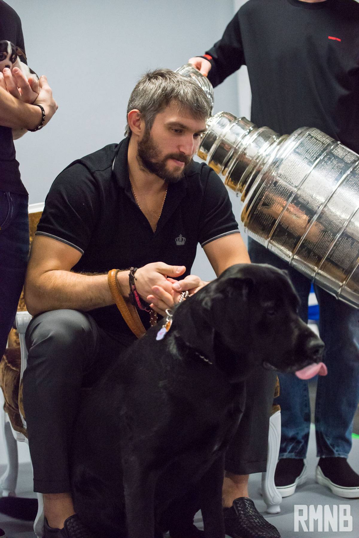 77 photos from the Caps Dog Calendar shoot featuring puppies, the ...