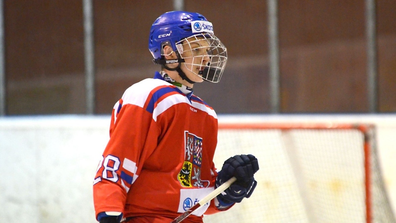 Capitals trade up into fifth round and select defenseman Martin Hugo Has