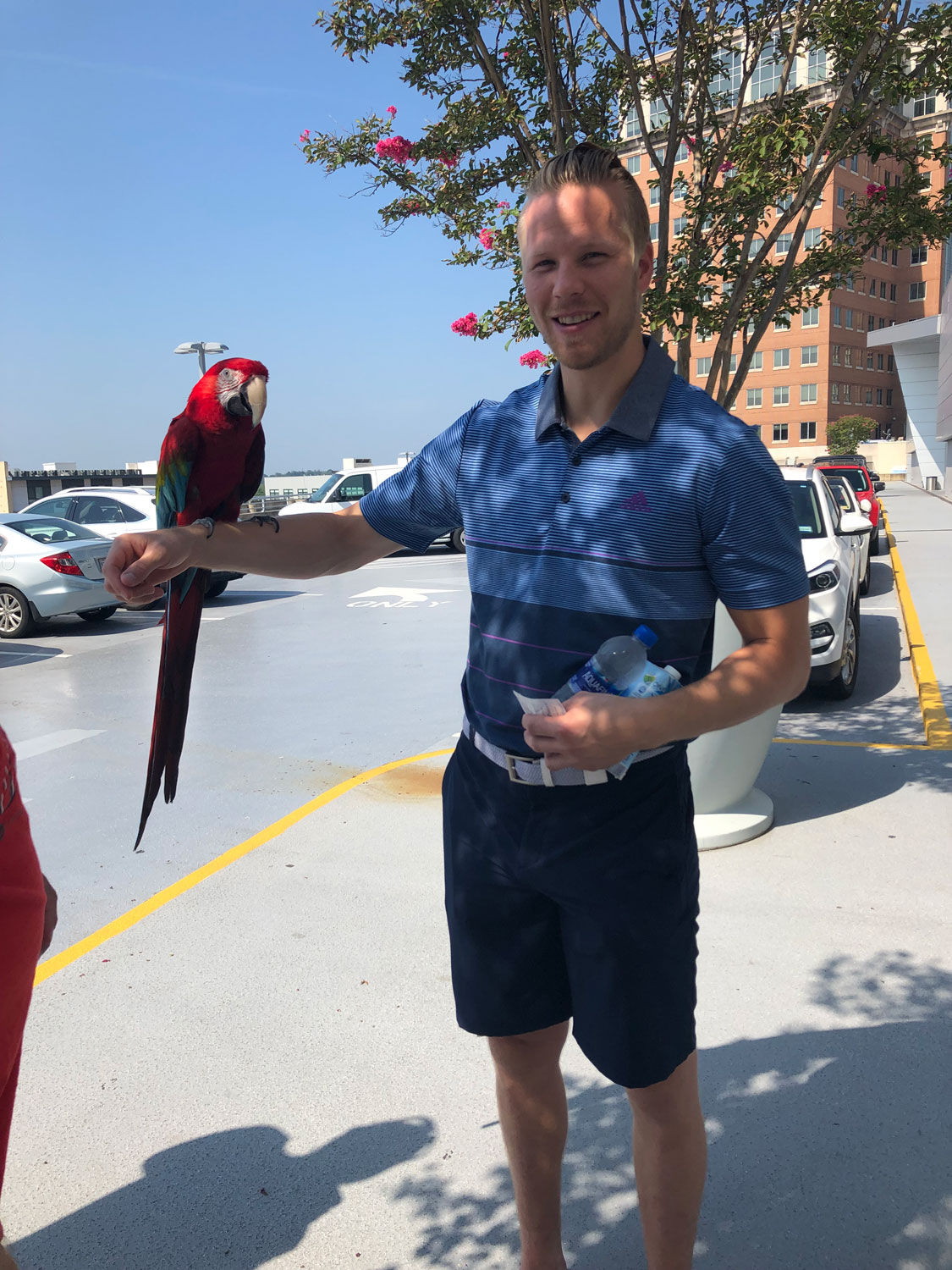 A Capitals fan brought a parrot to practice so of course Alex Ovechkin ...