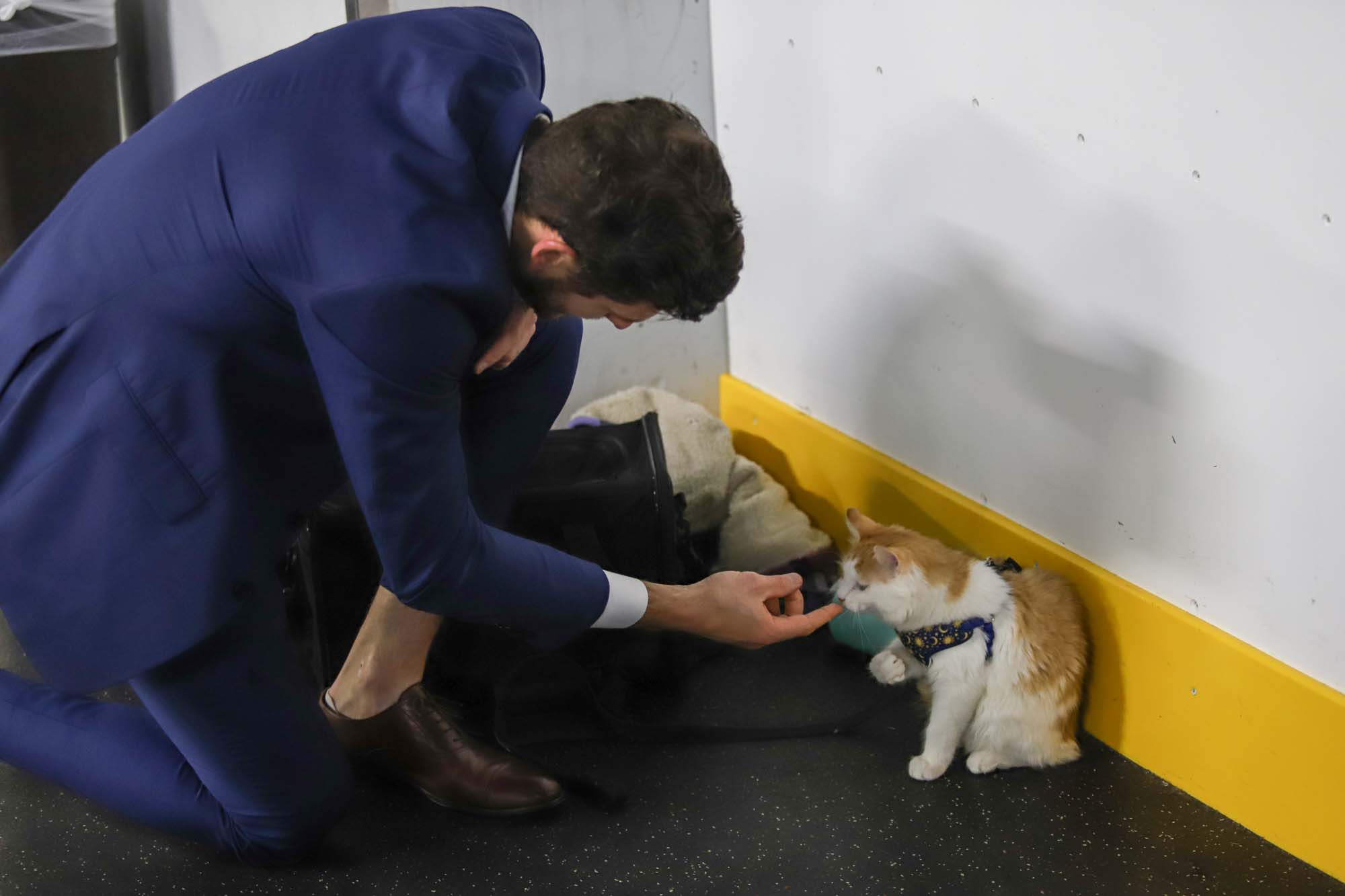 The star of the Capitals Canine Calendar photoshoot was actually a cat