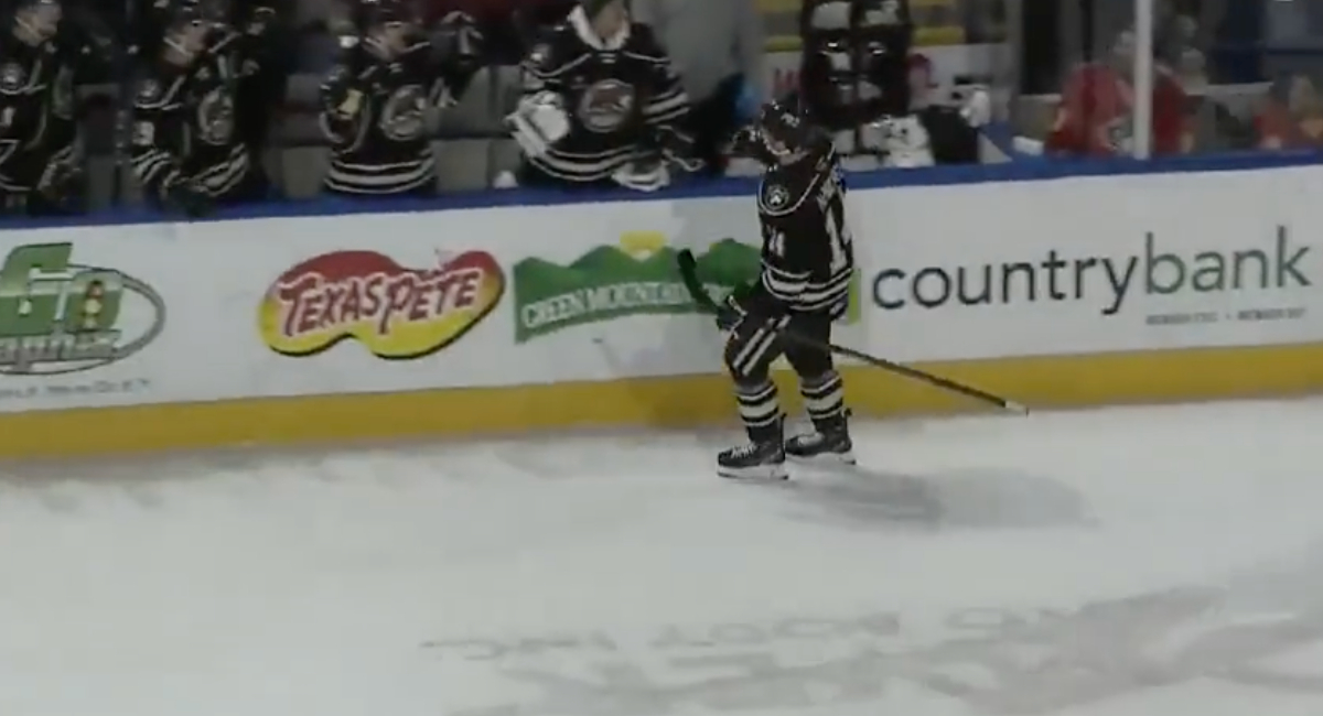 Connor McMichael scores goal for Hershey Bears in second game back in AHL