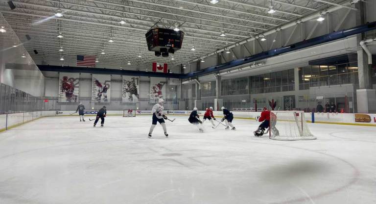 Nicklas Backstrom, Tom Wilson, and other rehabbing Capitals players ...