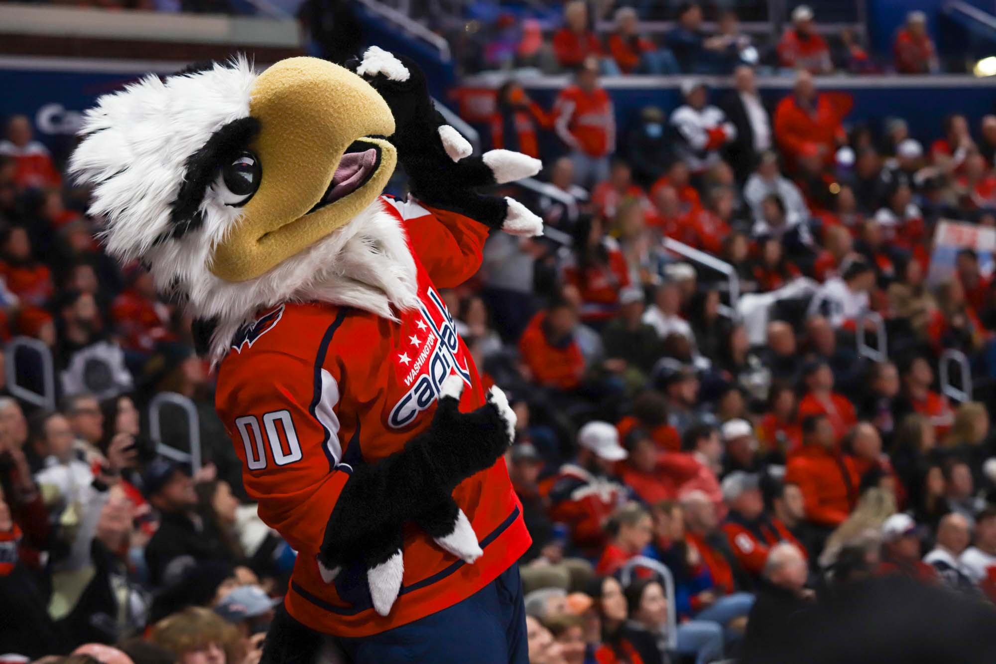 file-mascot-slapshot-aland-8747