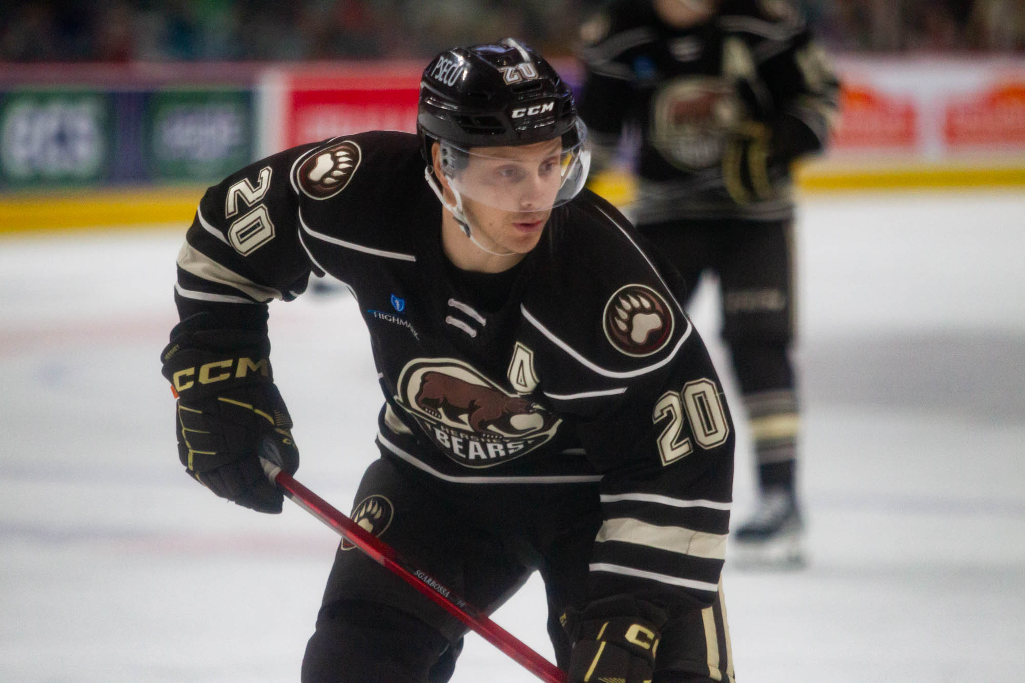 HersheyBears-31823-AaronNess-0977