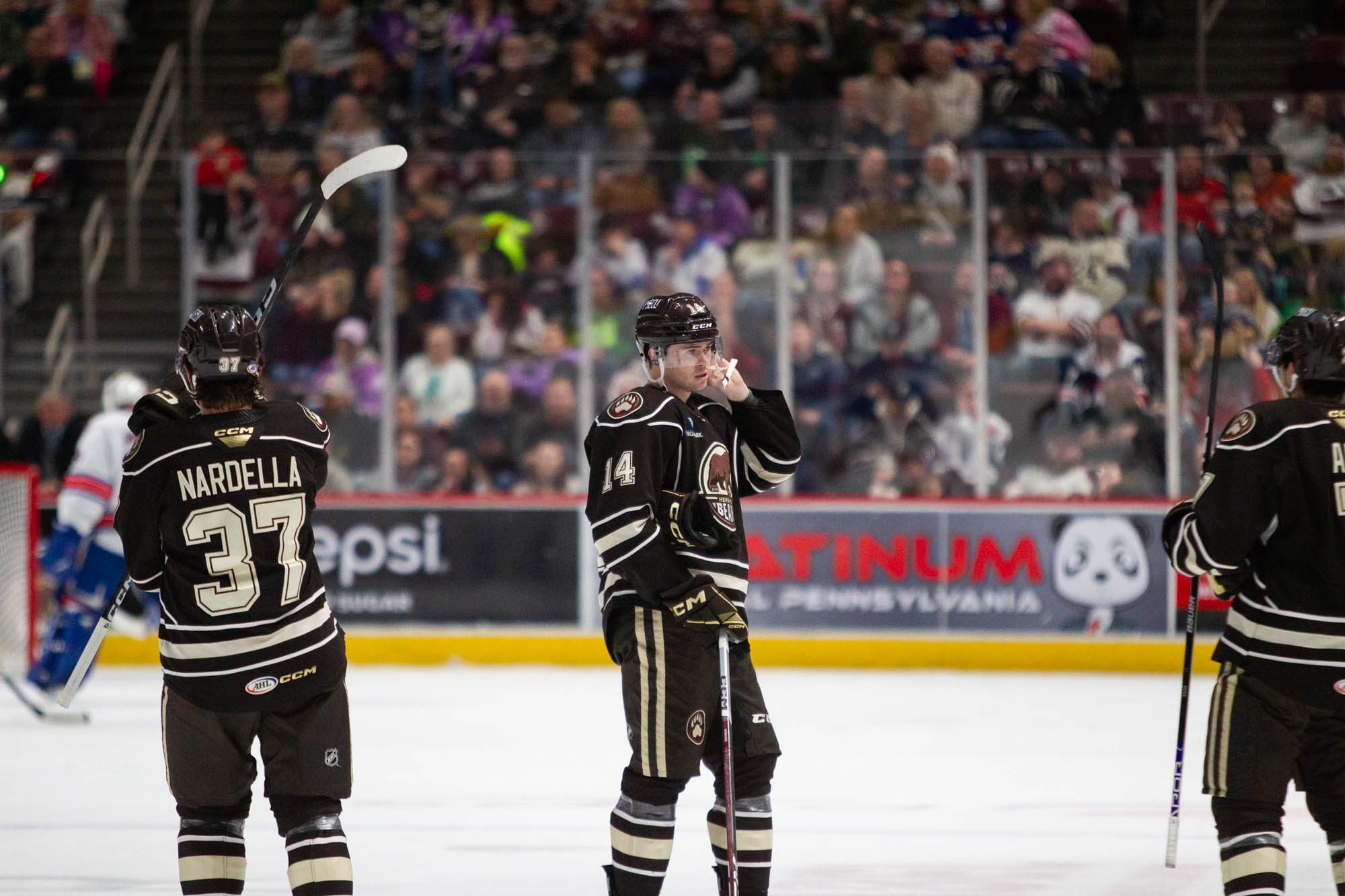 HersheyBears-31823-ConnorMcMichael-0955