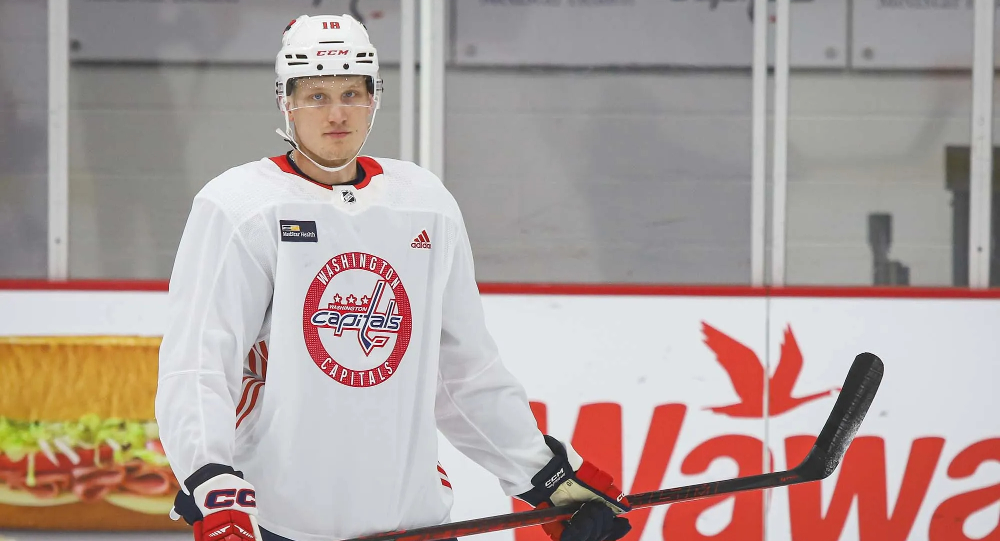 Capitals send Zach Fucale and Gabriel Carlsson down to Hershey Bears