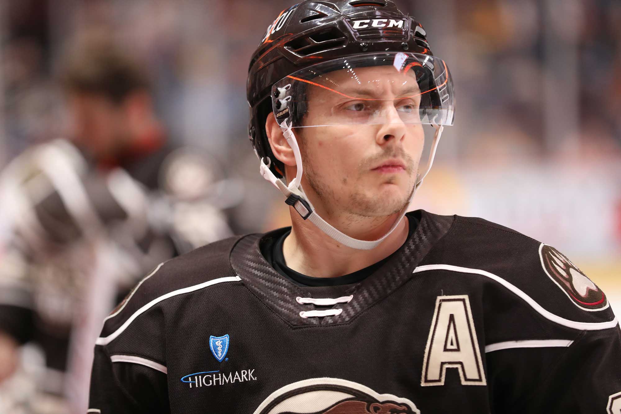 Connor McMichael named an alternate captain of Hershey Bears with Mike ...
