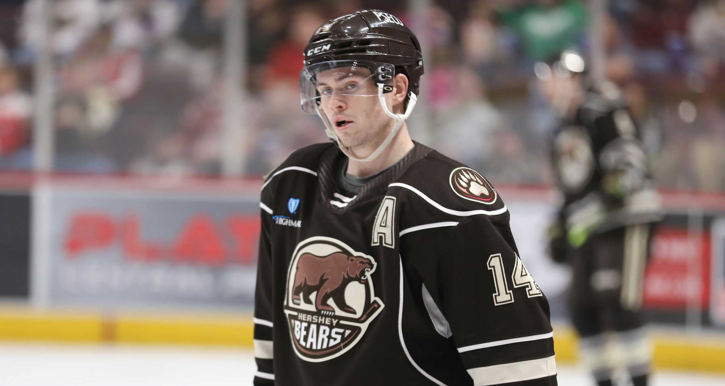 Connor McMichael named an alternate captain of Hershey Bears with Mike ...