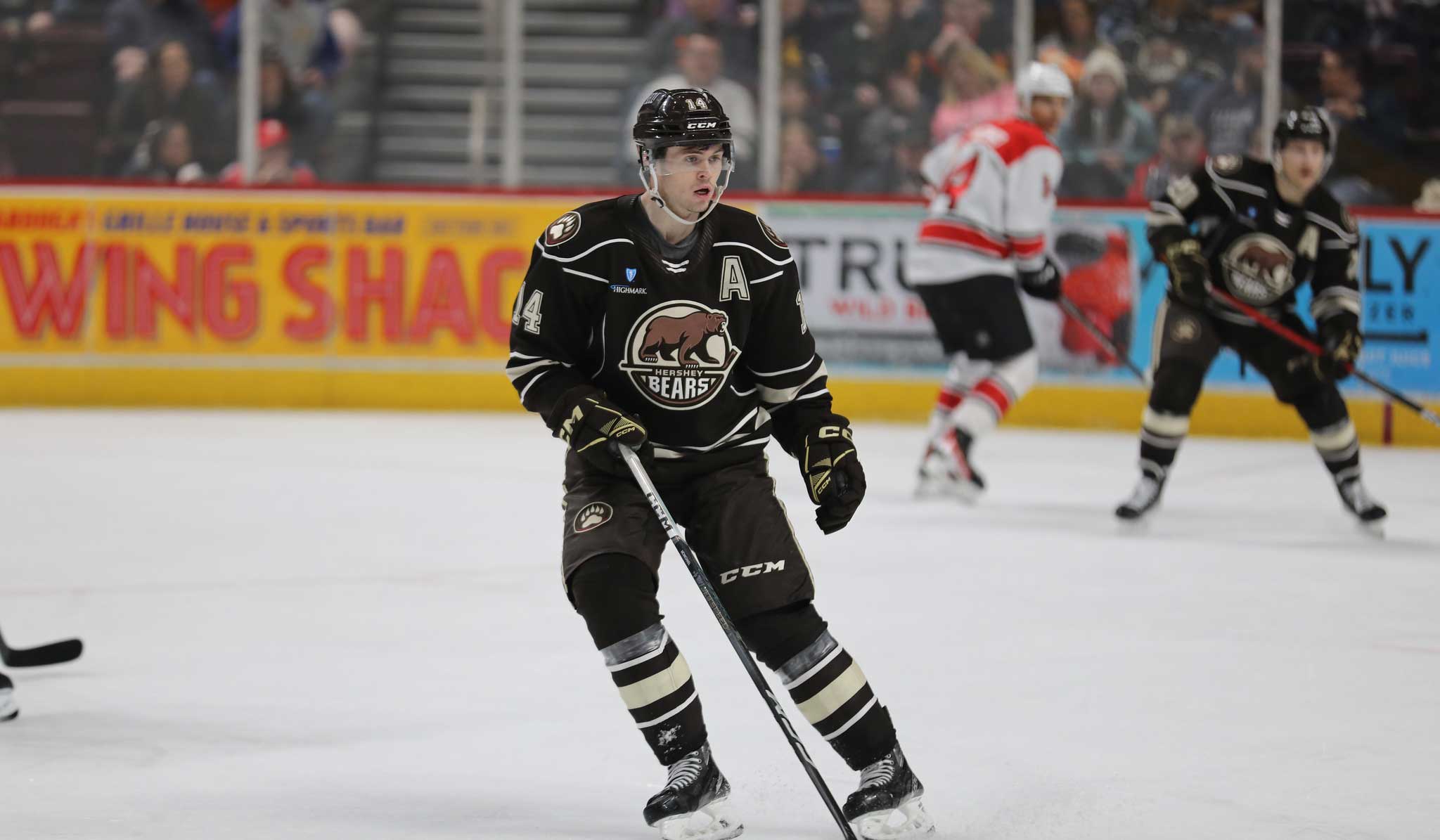 Connor McMichael named an alternate captain of Hershey Bears with Mike ...