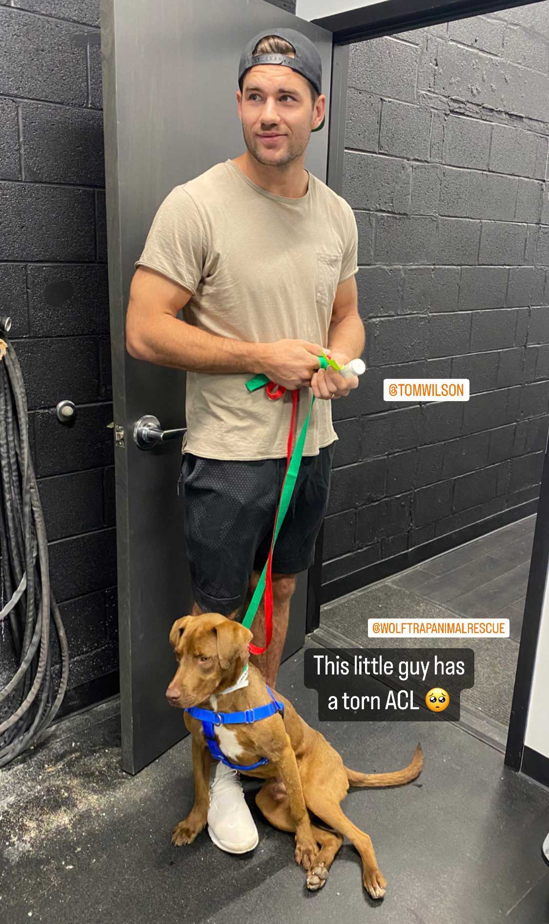 Because you deserve it, here’s Tom Wilson with a tiny kitten in his ...