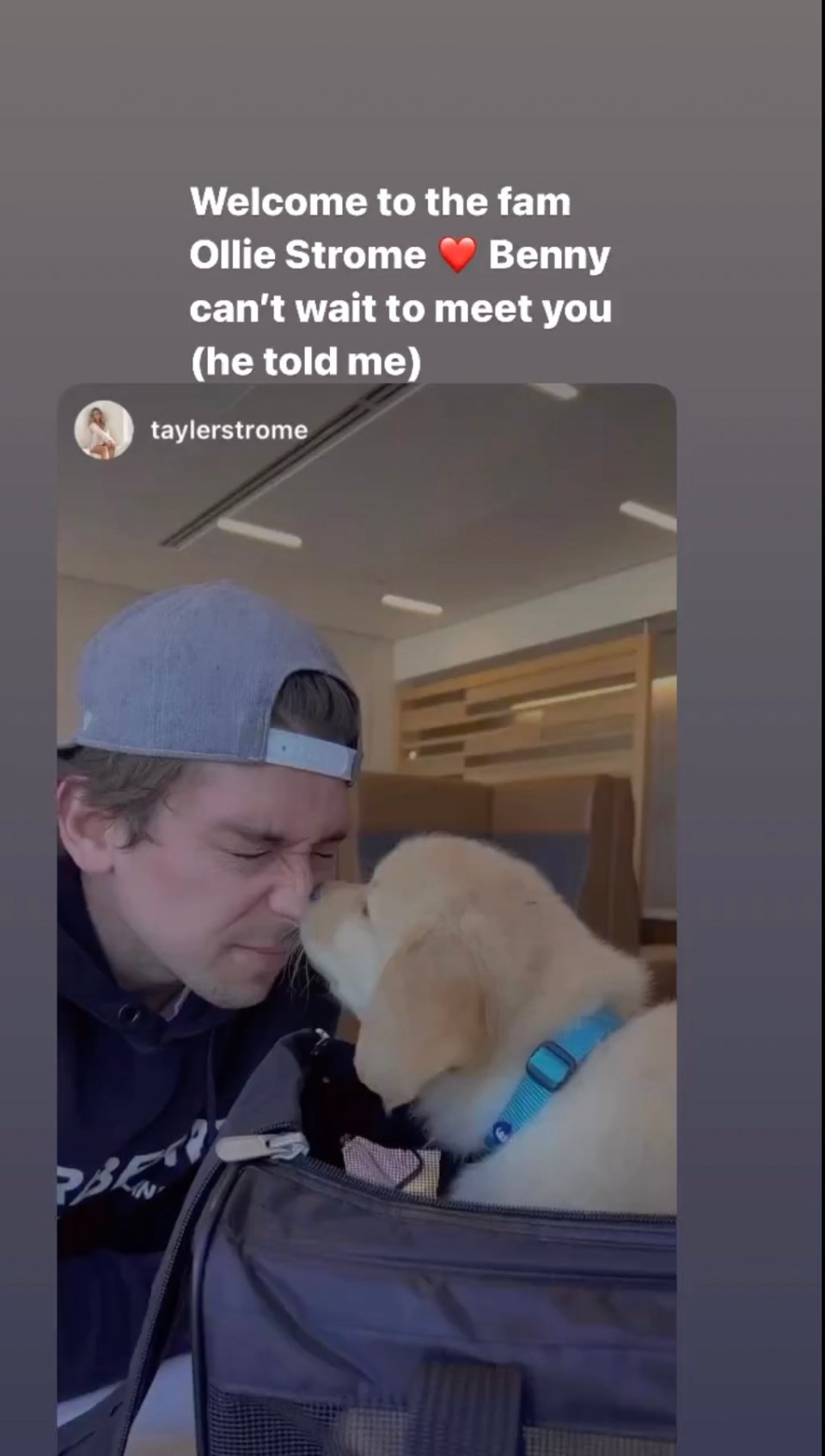 Dylan Strome and family adopt Ollie, an adorable golden retriever puppy
