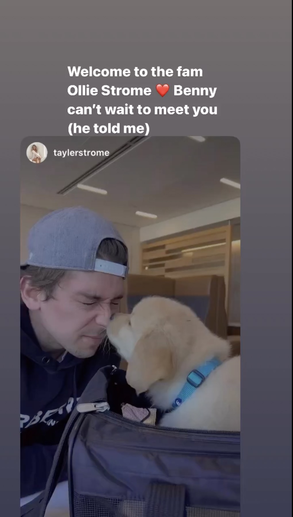 Dylan Strome and family adopt Ollie, an adorable golden retriever puppy