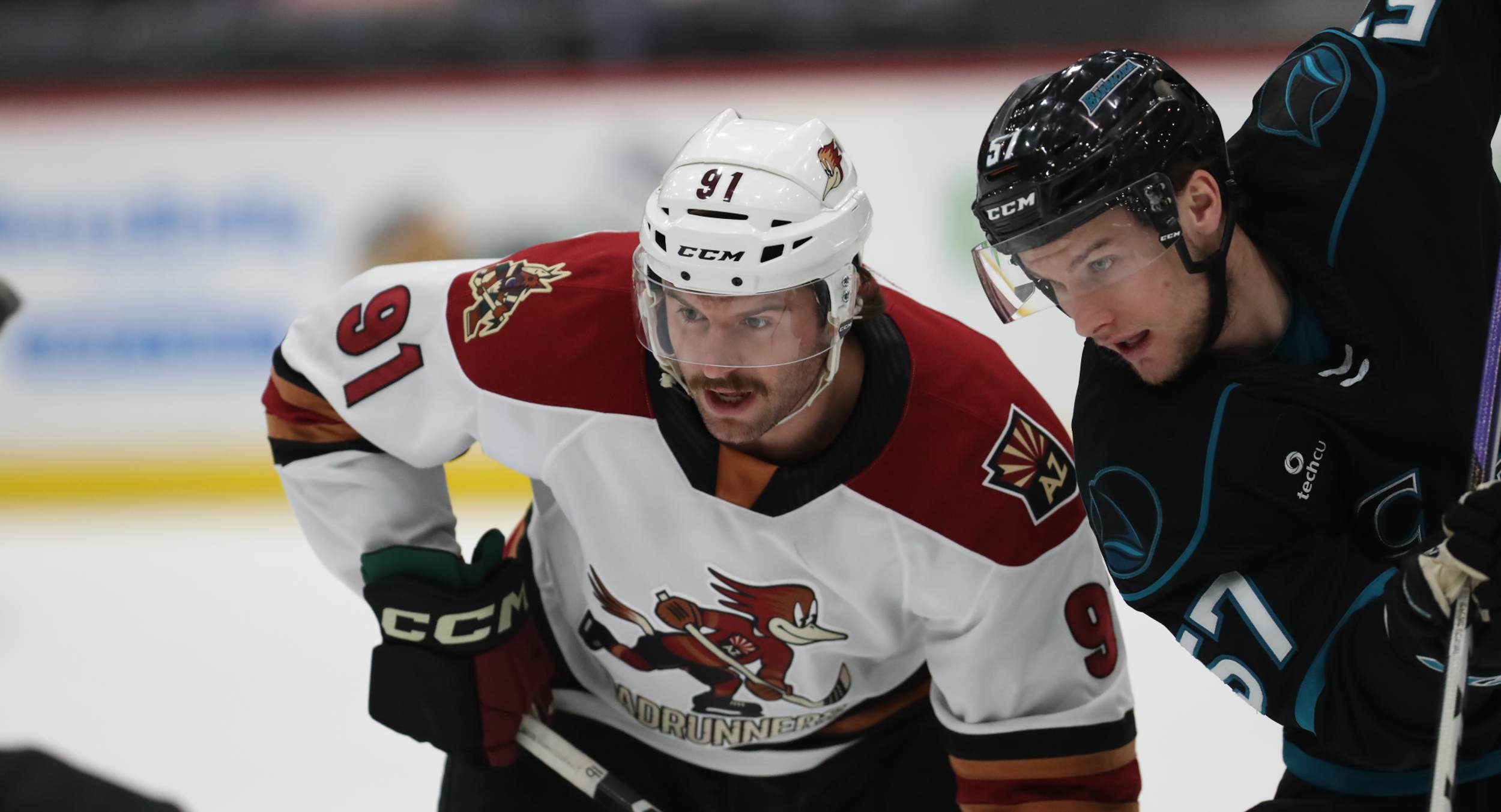 Hershey Bears sign forward Tyson Empey to one-year AHL contract