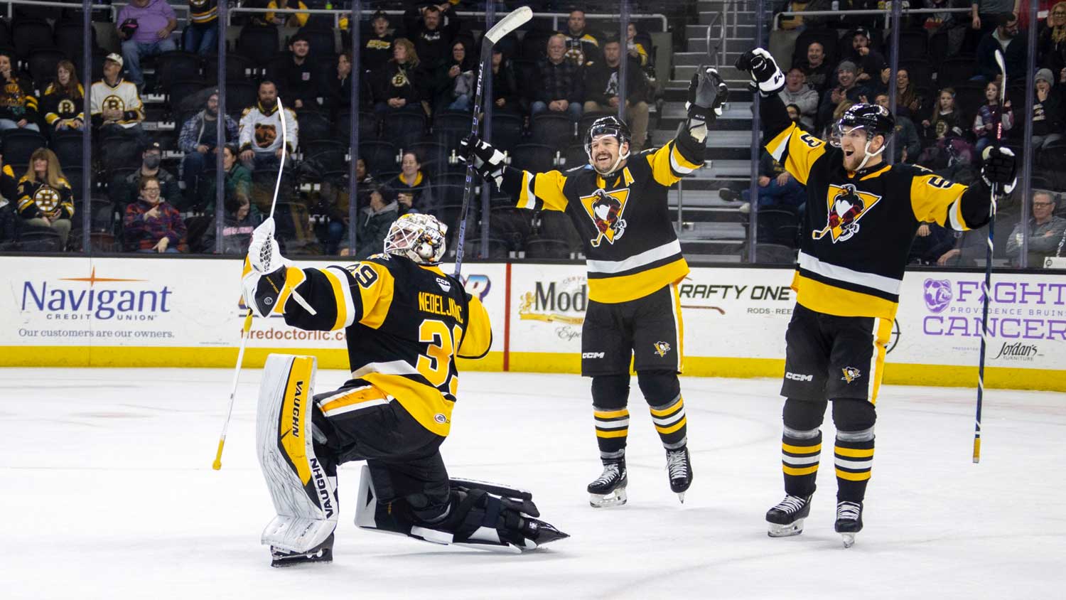 Alex Nedeljkovic becomes first goalie in AHL history to score two ...