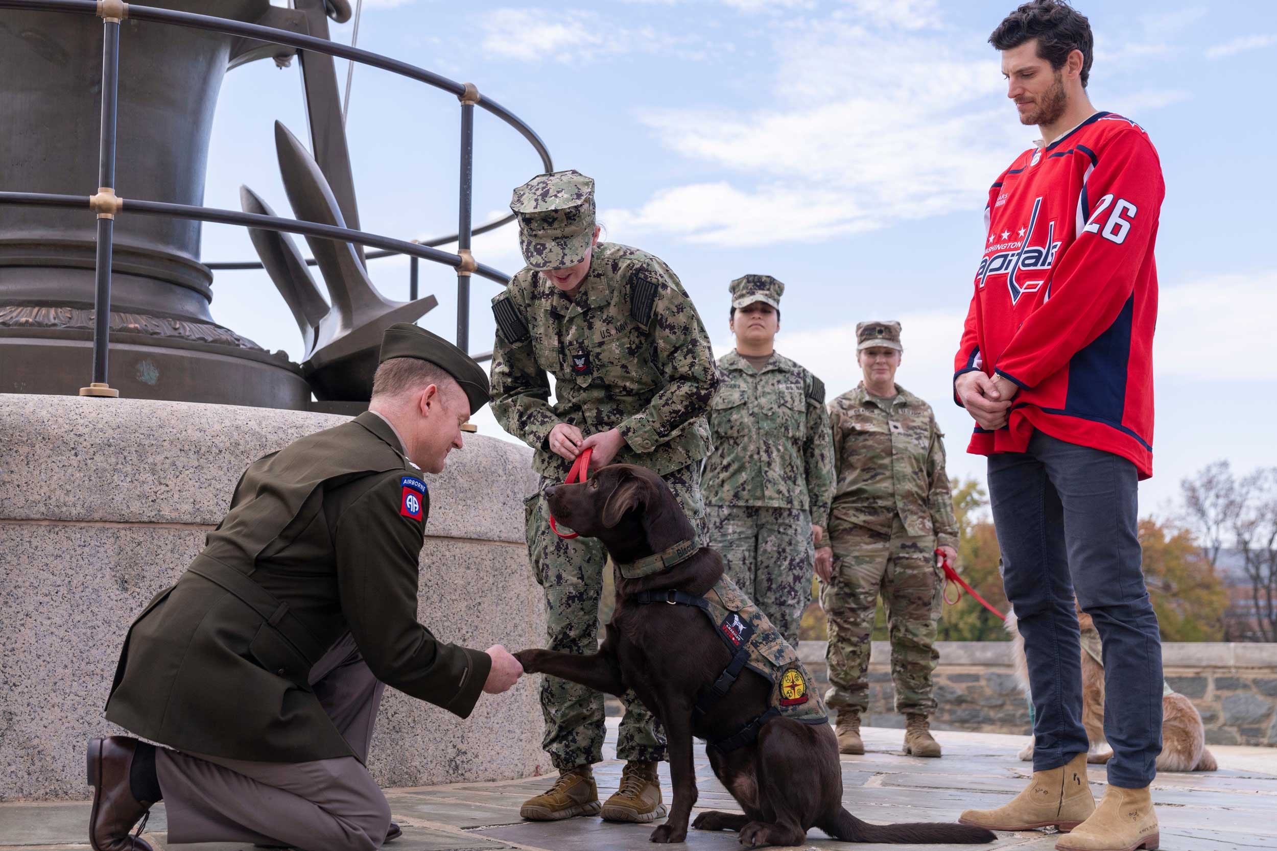 Biscuit formally placed as facility dog at Walter Reed, receives ...