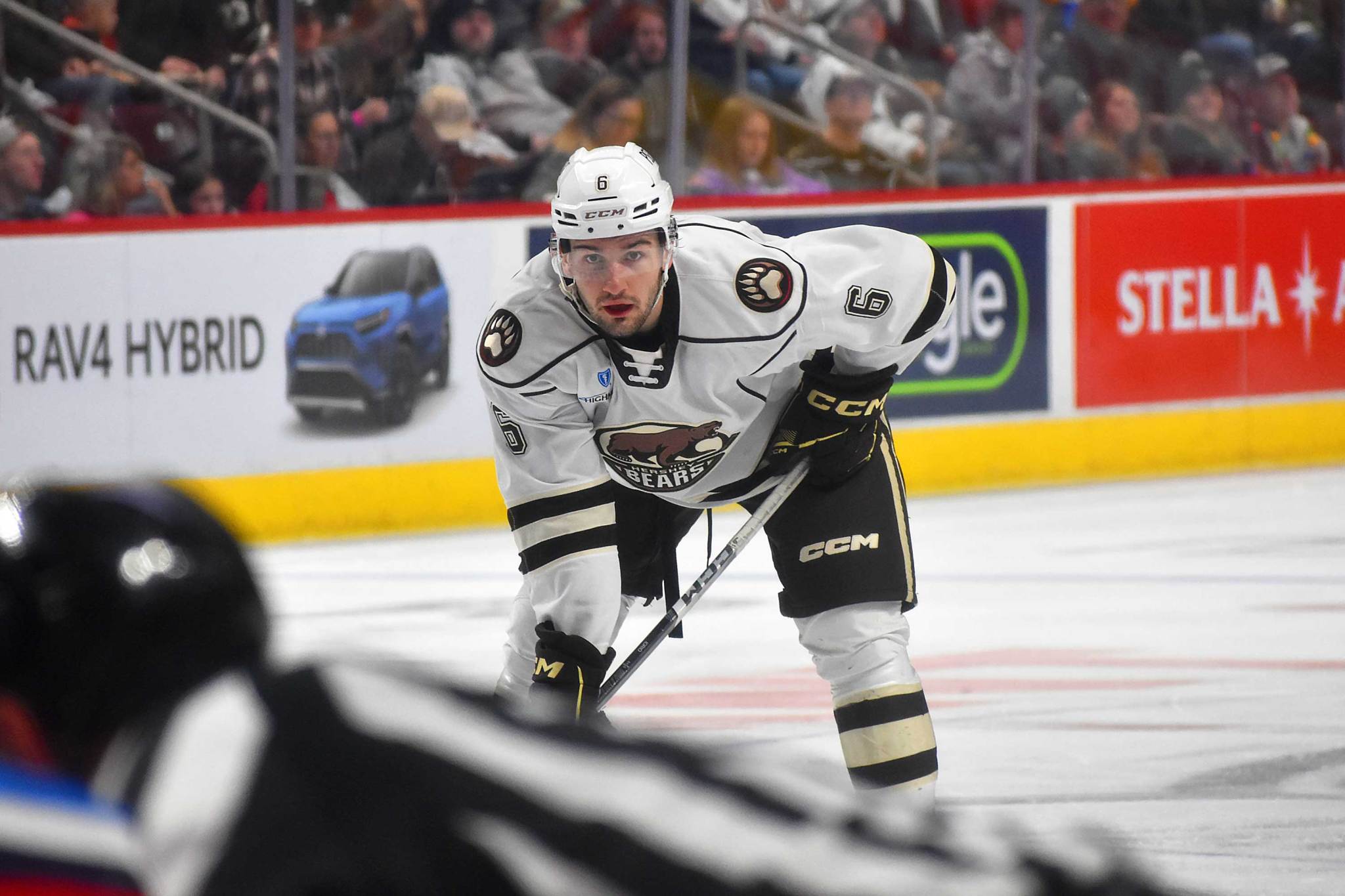 Vincent Iorio not cleared to rejoin Hershey Bears’ roster as he ...