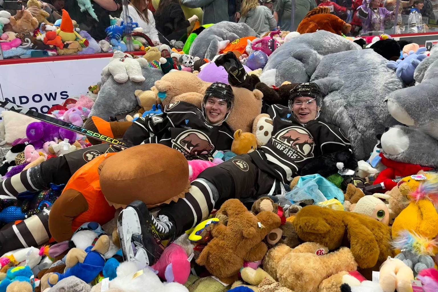 Hershey Bears collect 74,599 stuffed animals at 2024 Teddy Bear Toss ...