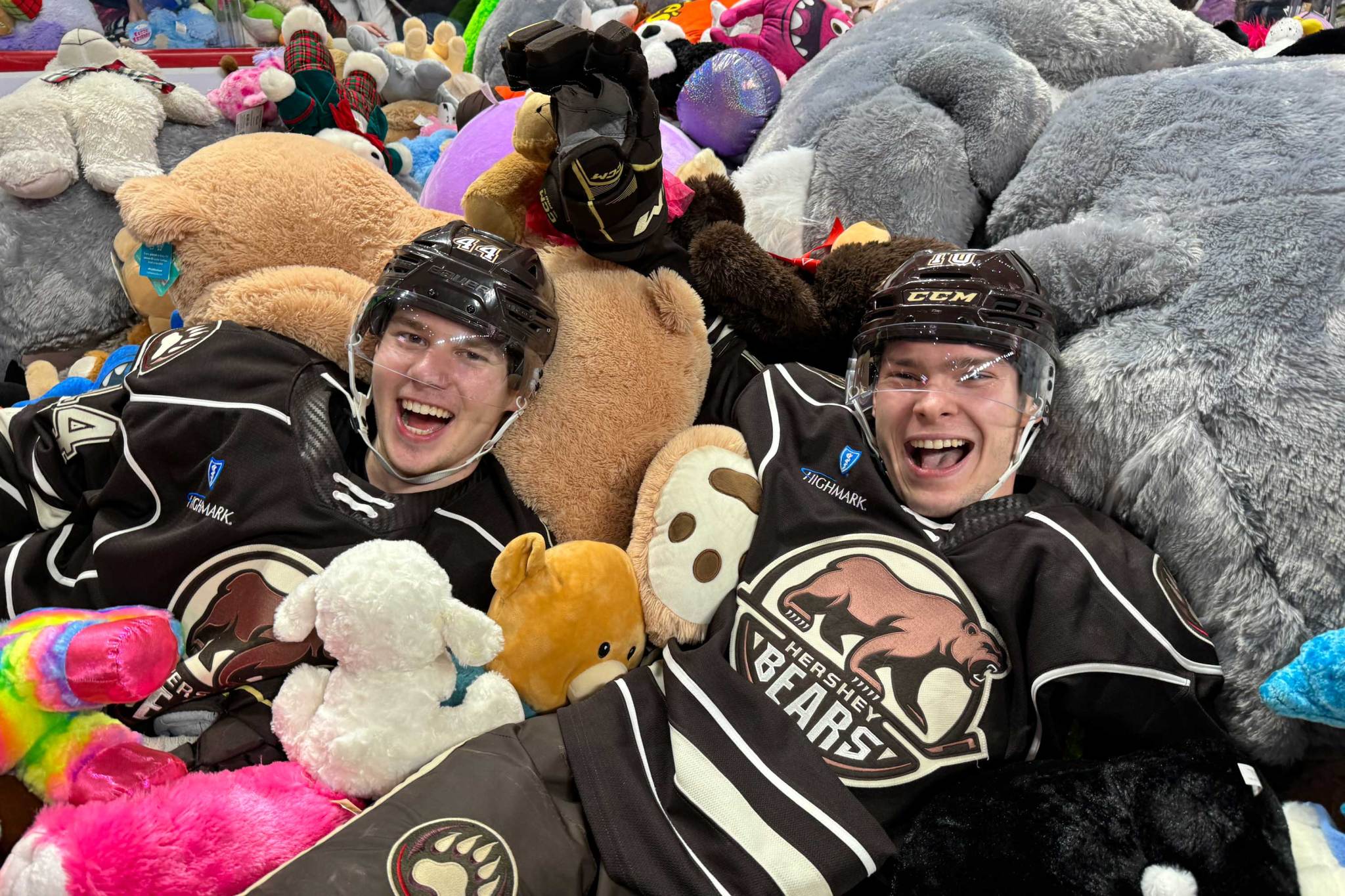 Hershey Bears collect 74,599 stuffed animals at 2024 Teddy Bear Toss ...