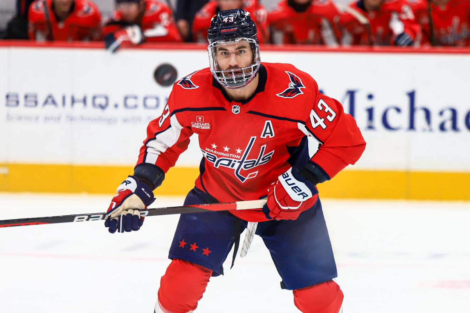 Tom Wilson’s dog Halle now has her own Instagram