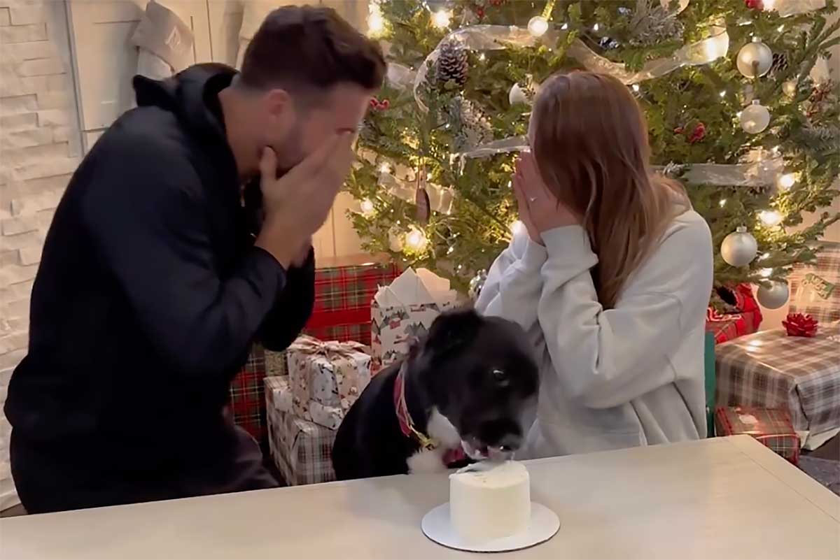 Tom Wilson and wife Taylor announce they’re expecting their first child