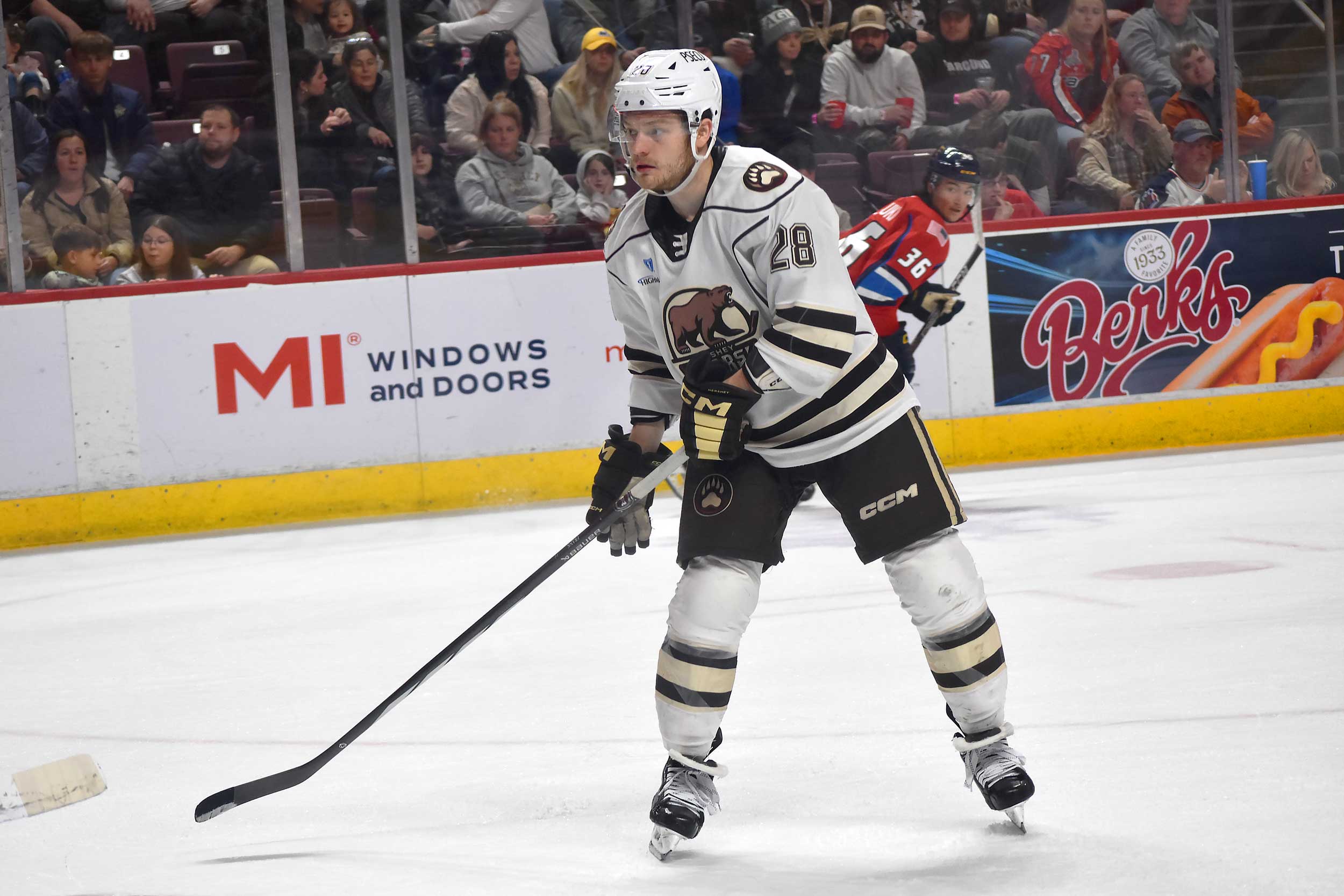 Ethen Frank could return to Hershey Bears’ lineup this weekend after ...