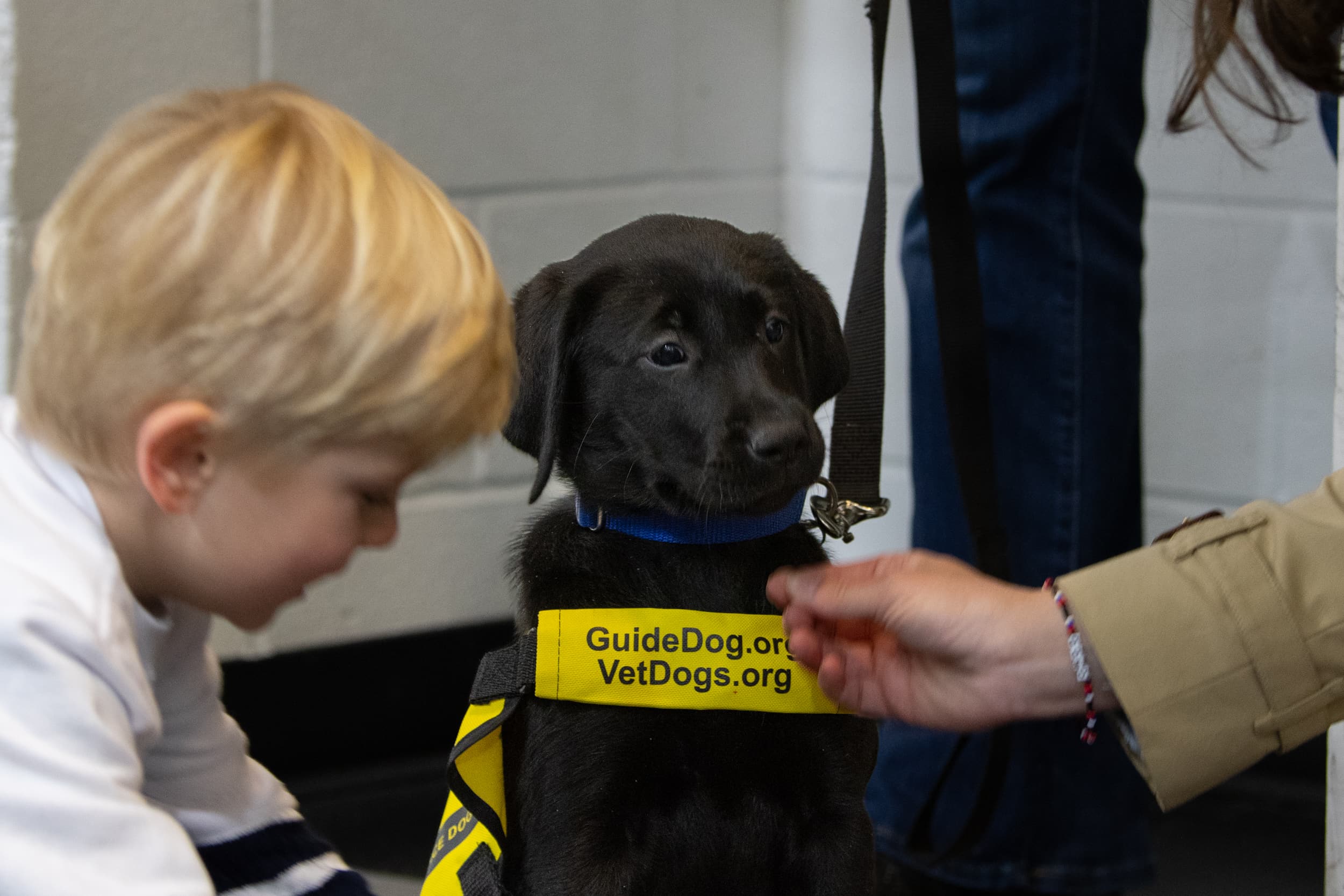 Paige and Nic Dowd sponsor future service dog Judy through America’s ...